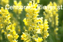 Who here knows what this gif represents? | ResetEra