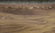 Desert (location) | Final Fantasy Wiki | Fandom