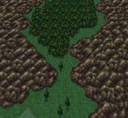 Phantom Forest (Final Fantasy VI) | Final Fantasy Wiki | Fandom