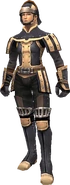 Final Fantasy XI armor sets | Final Fantasy Wiki | Fandom