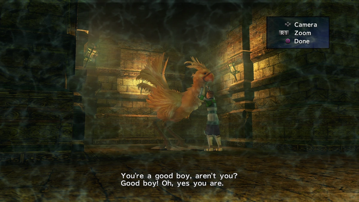 Chocobo raising (Final Fantasy X-2) | Final Fantasy Wiki | Fandom