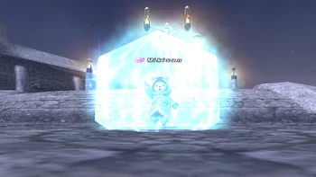 Protect V | Final Fantasy Wiki | Fandom