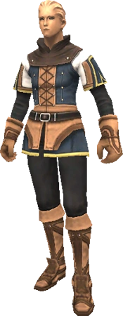 Final Fantasy XI armor sets | Final Fantasy Wiki | Fandom