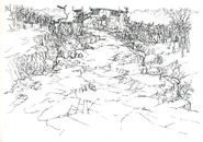 Trabia Garden | Final Fantasy Wiki | Fandom