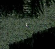 Cat | Final Fantasy Wiki | Fandom