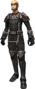 Final Fantasy XI armor sets/Rise of the Zilart | Final Fantasy Wiki ...