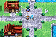 Cornelia (Final Fantasy) | Final Fantasy Wiki | Fandom