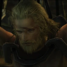 Basch fon Ronsenburg/Gallery | Final Fantasy Wiki | Fandom