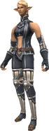 Final Fantasy XI armor sets | Final Fantasy Wiki | Fandom