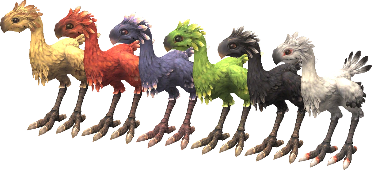Tipi di chocobo | Final Fantasy Wiki | Fandom