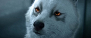 Pryna | Final Fantasy Wiki | Fandom