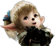 Shantotto (Dissidia PSP) | Final Fantasy Wiki | Fandom