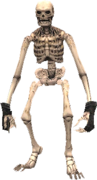 Skeleton (Final Fantasy XI) | Final Fantasy Wiki | Fandom
