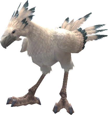 Chocobo bianco (Final Fantasy XII) | Final Fantasy Wiki | Fandom