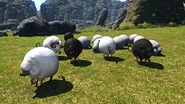 Sheep | Final Fantasy Wiki | Fandom