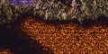 Kefka's Tower | Final Fantasy Wiki | Fandom