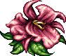 Rafflesia | Final Fantasy Wiki | Fandom