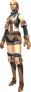 Final Fantasy XI armor sets | Final Fantasy Wiki | Fandom