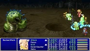 Pray (ability) | Final Fantasy Wiki | Fandom