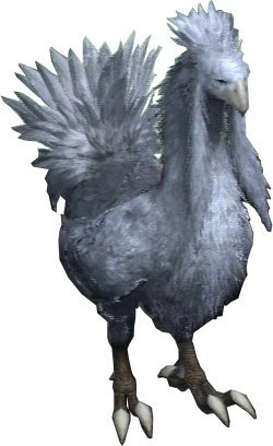 Chocobo Ff13