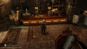 Final Fantasy XII shops | Final Fantasy Wiki | Fandom