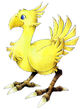Chocobo types | Final Fantasy Wiki | Fandom