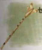 Siren's Flute | Final Fantasy Wiki | Fandom