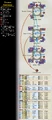 Final Fantasy XII maps | Final Fantasy Wiki | Fandom