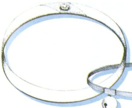 Memento Ring | Final Fantasy Wiki | Fandom