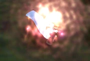 Angelo Reverse | Final Fantasy Wiki | Fandom