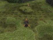 Qu's Marsh | Final Fantasy Wiki | Fandom