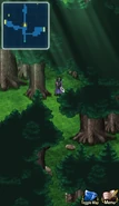 Chocobo forest | Final Fantasy Wiki | Fandom