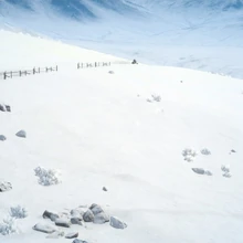 Final Fantasy XV: Episode Prompto | Final Fantasy Wiki | Fandom