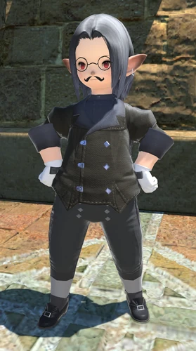 Royal seneschal | Final Fantasy Wiki | Fandom