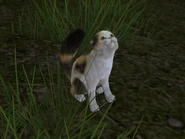 Final Fantasy XIII-2 characters | Final Fantasy Wiki | Fandom