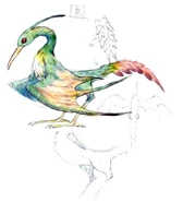 Bird (Final Fantasy XI) | Final Fantasy Wiki | Fandom