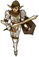 Paladin (Final Fantasy XI) | Final Fantasy Wiki | Fandom