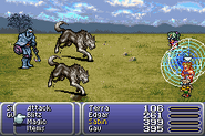 Guard Leader | Final Fantasy Wiki | Fandom
