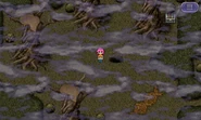 Great Forest of Moore | Final Fantasy Wiki | Fandom