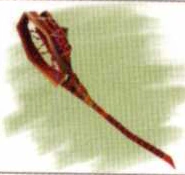 Priest's Racket (Final Fantasy IX) | Final Fantasy Wiki | Fandom