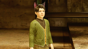Cat | Final Fantasy Wiki | Fandom