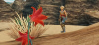 Flower (symbolism) | Final Fantasy Wiki | Fandom