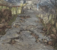 Trabia Garden | Final Fantasy Wiki | Fandom