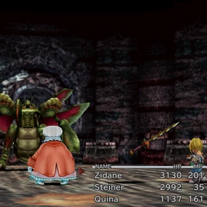 Final Fantasy IX statuses | Final Fantasy Wiki | Fandom