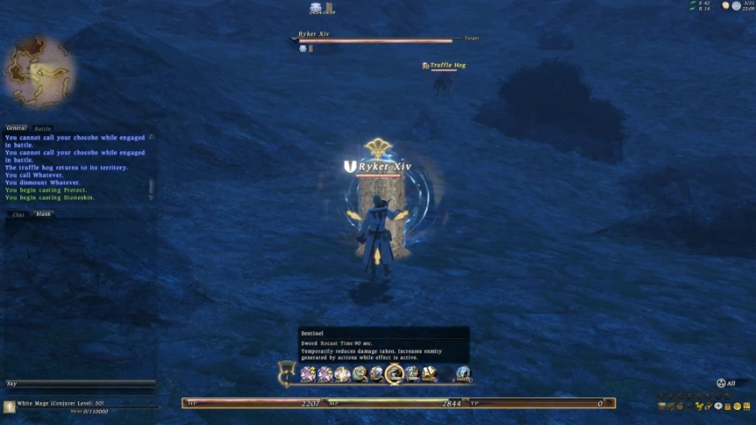 Stoneskin (ability) | Final Fantasy Wiki | Fandom