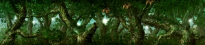 Ancient Forest (field) | Final Fantasy Wiki | Fandom
