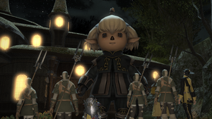 Shantotto | Final Fantasy Wiki | Fandom