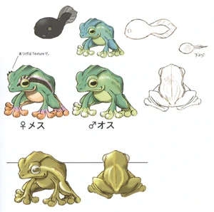 Walkthrough:Final Fantasy IX/Apoqliphoth/Frogs | Final Fantasy Wiki ...