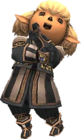 Shantotto | Final Fantasy Wiki | Fandom