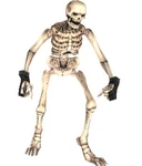 Skeleton | Final Fantasy Wiki | Fandom